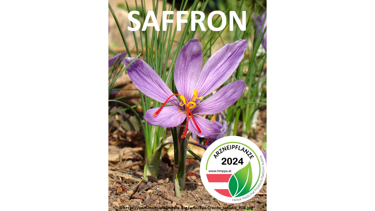 Events - Society for Medicinal Plant and Natural Product Research (GA)